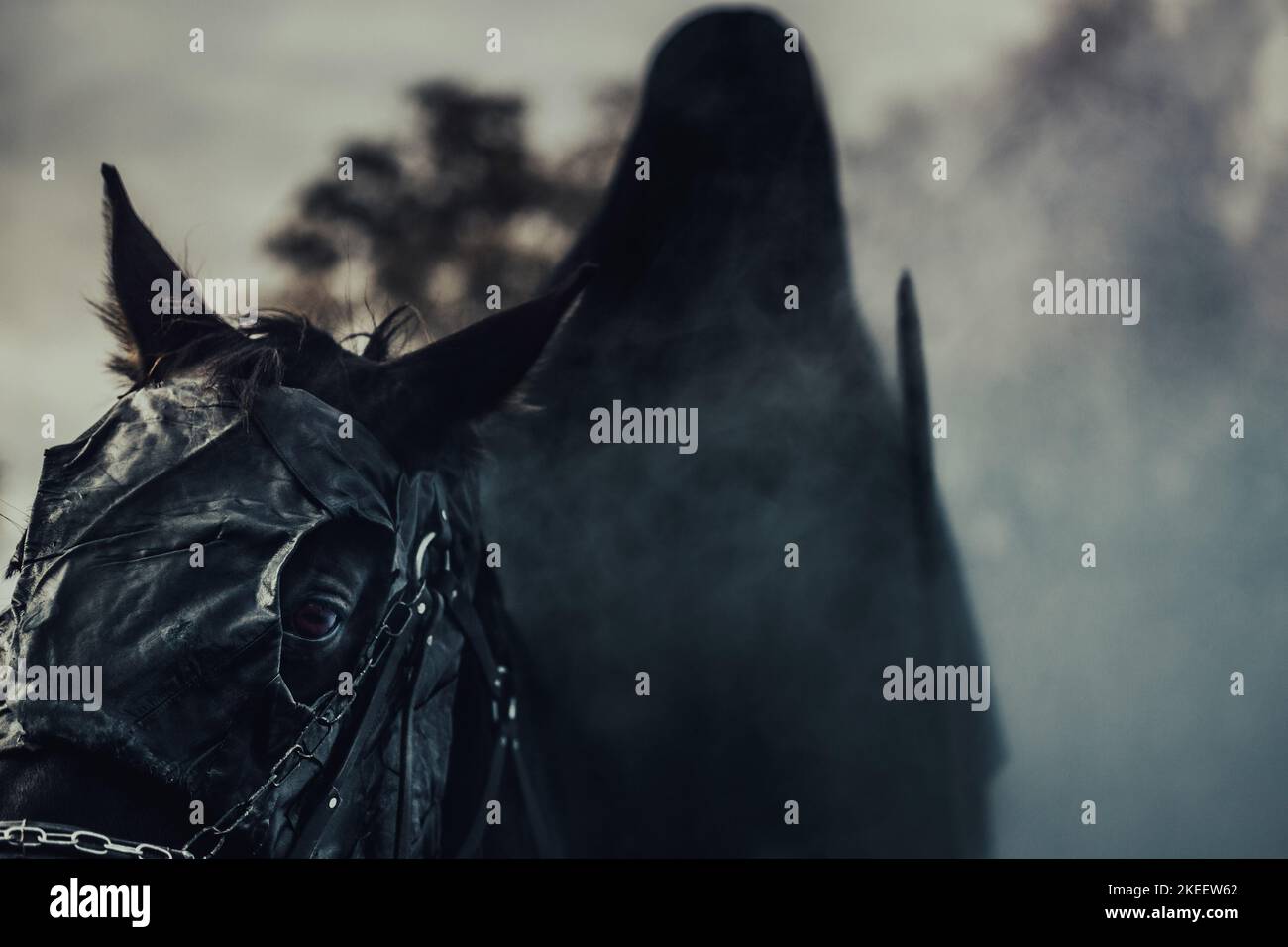 Ringwraith Wallpaper