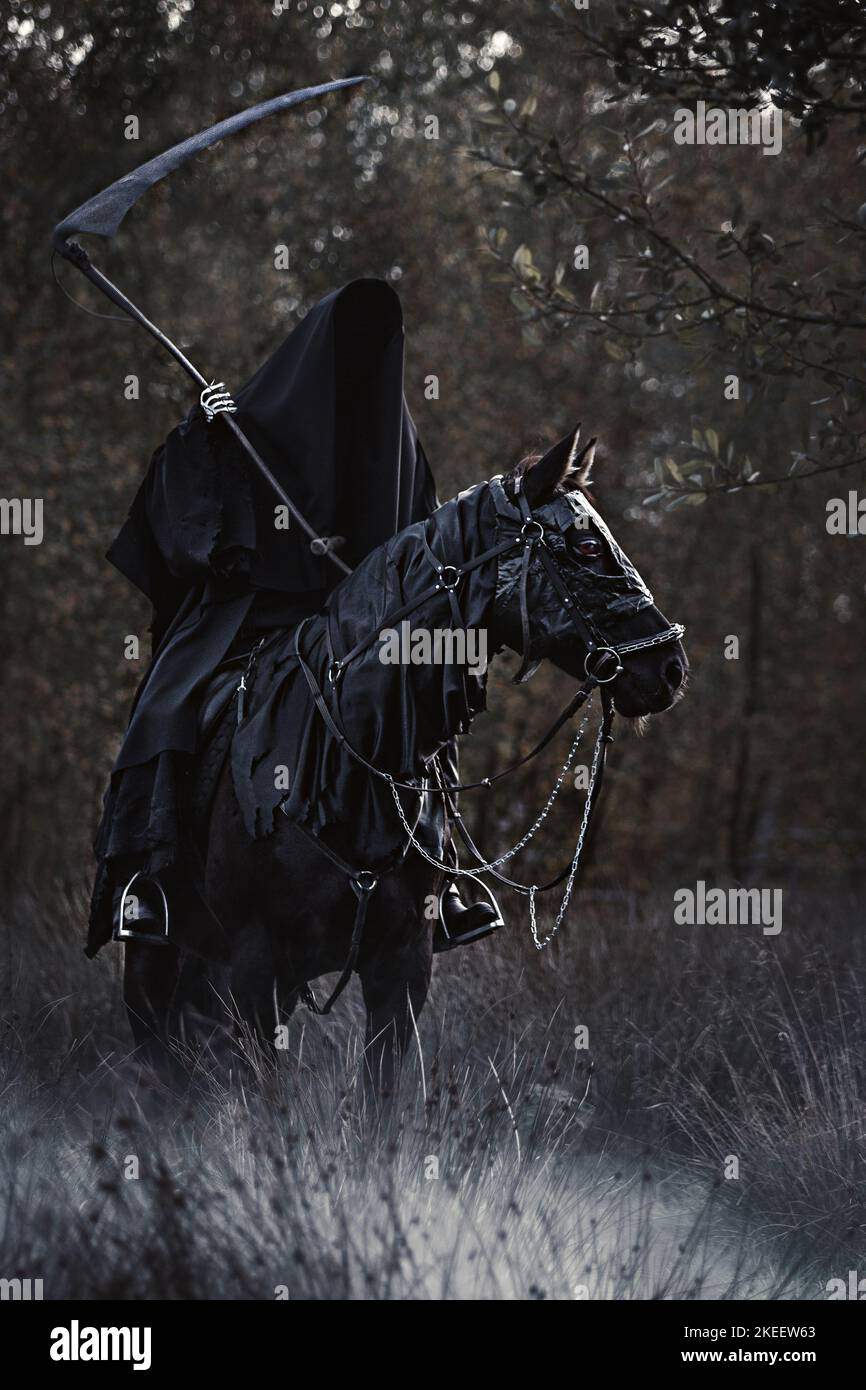 Witch king of angmar hi-res stock photography and images - Alamy