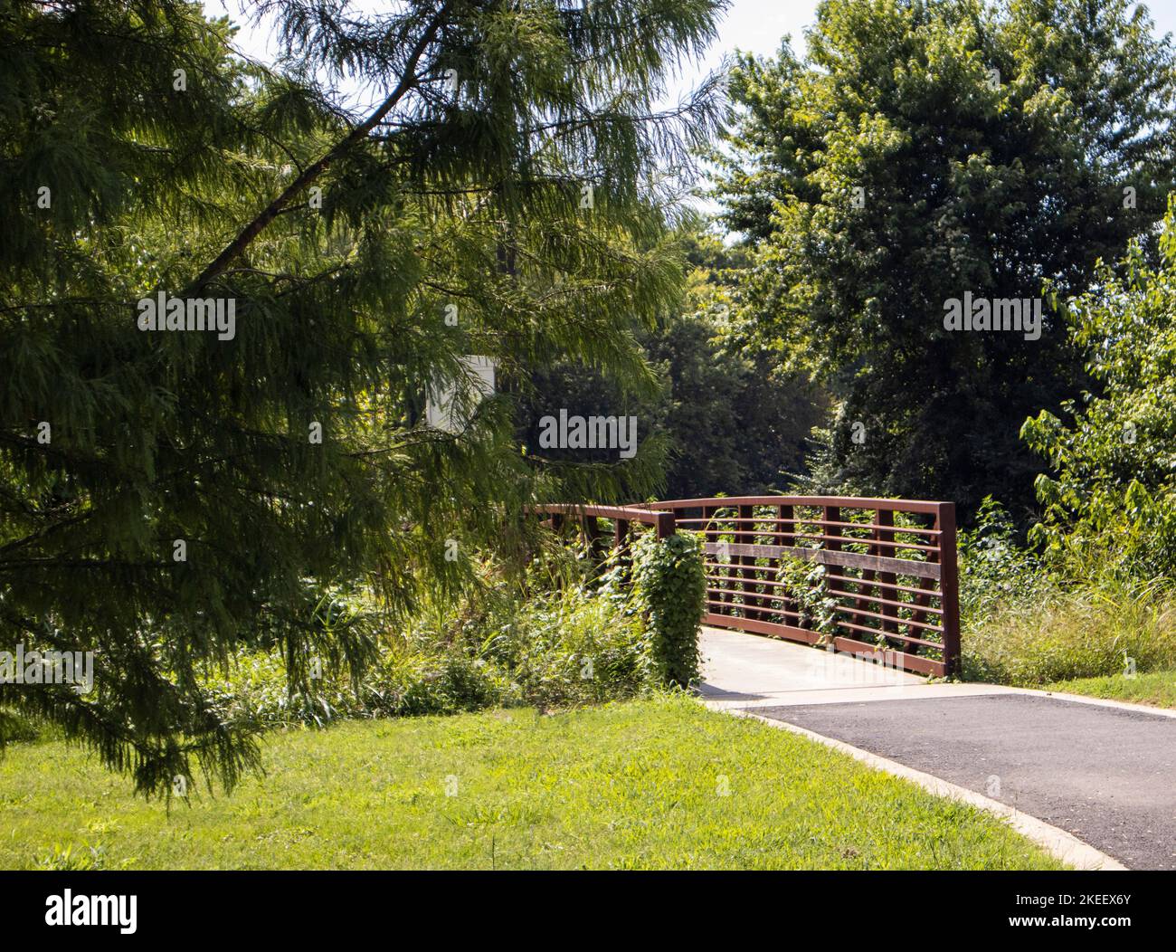 Beautiful green park and a small foot bridge Stock Photo - Alamy