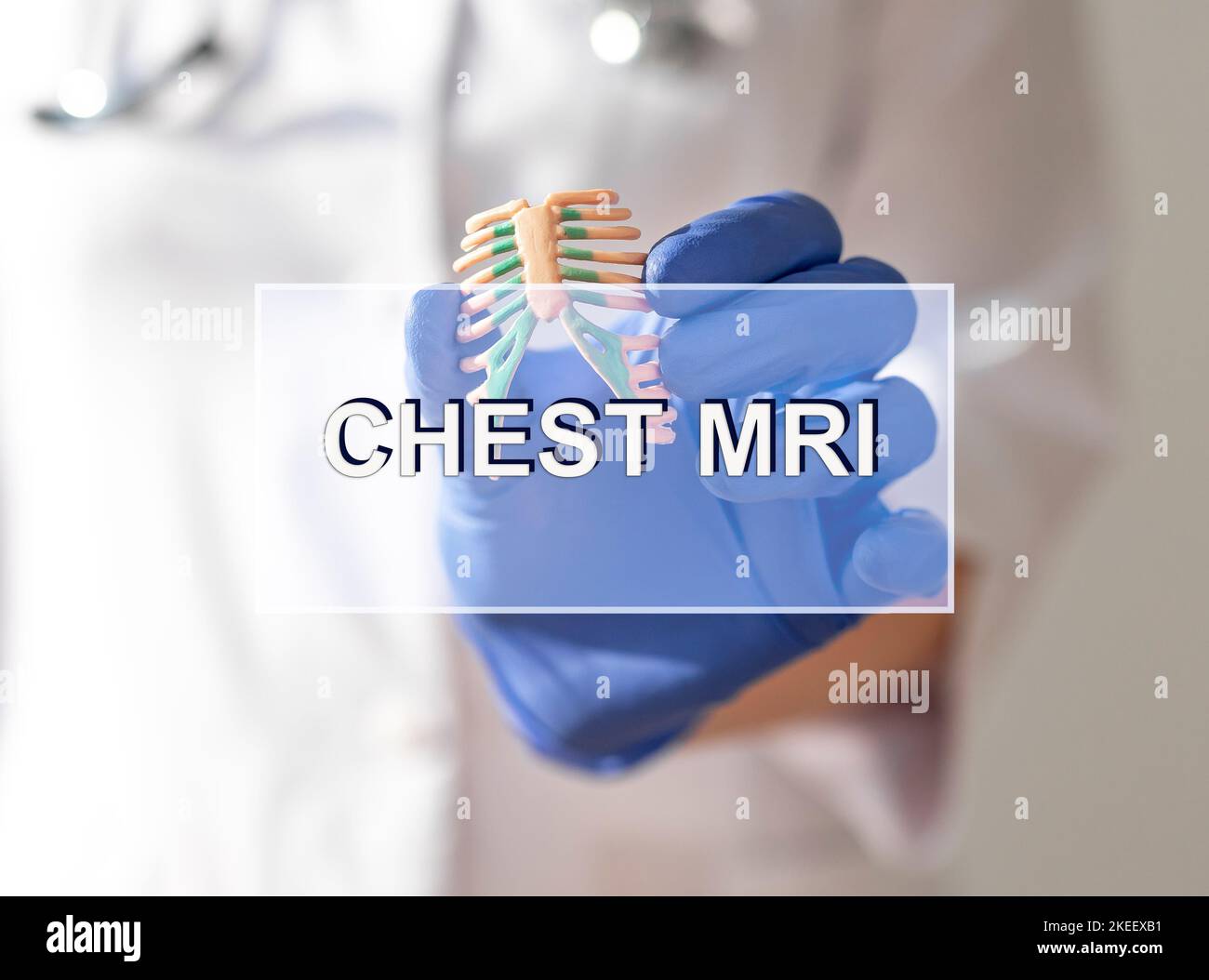 Chest MRI concept. Word on medical photo with ribs Stock Photo - Alamy