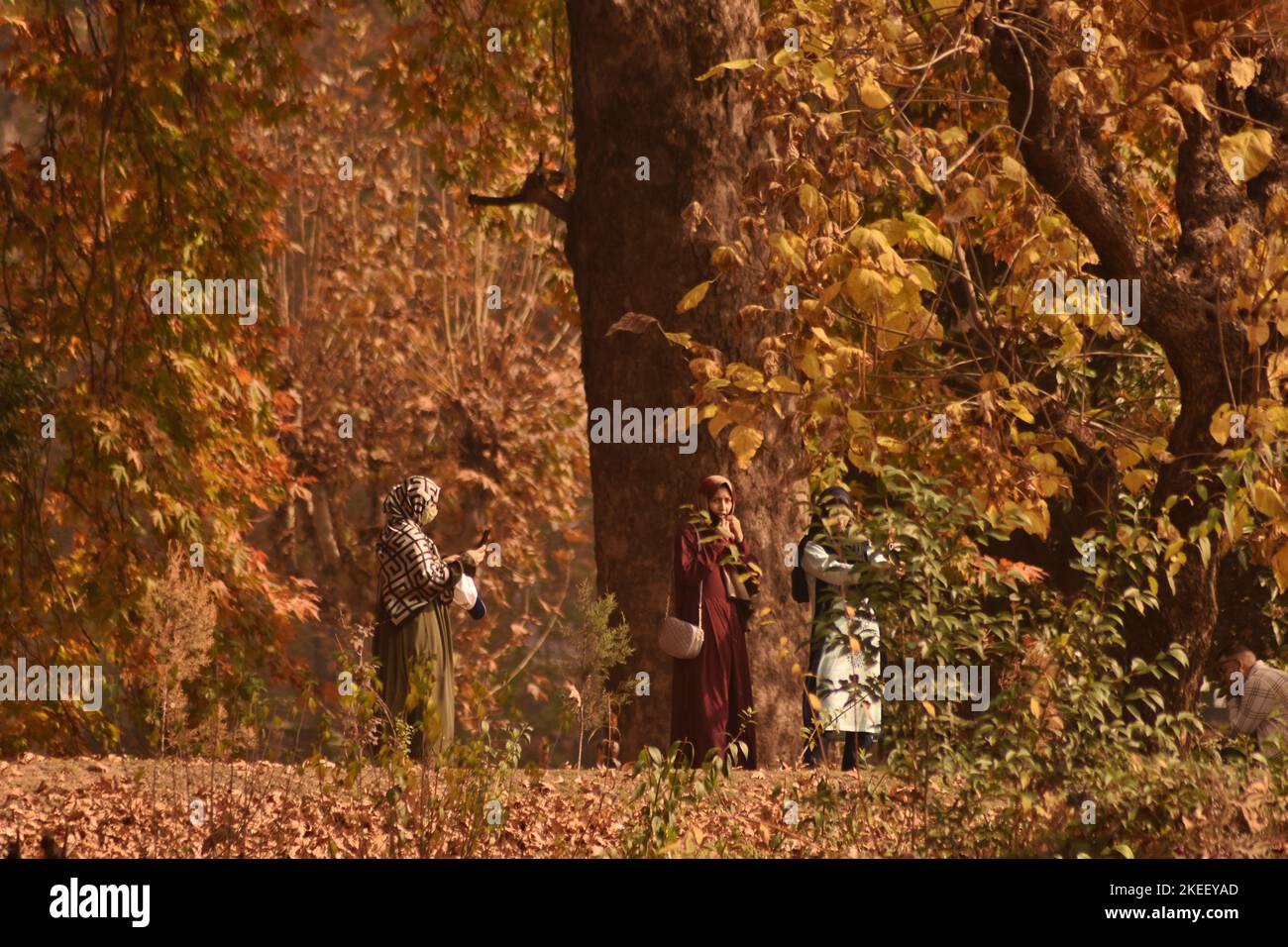 November 12, 2022, Srinagar, Jammu and Kashmir, India: Some local Girls ...