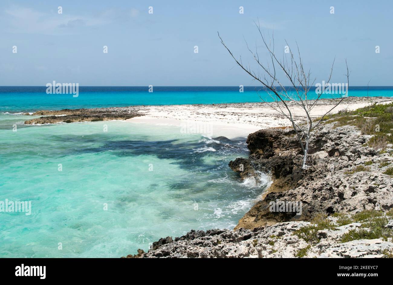 The scenic view of a rocky coastline with a dry tree and a beach on ...