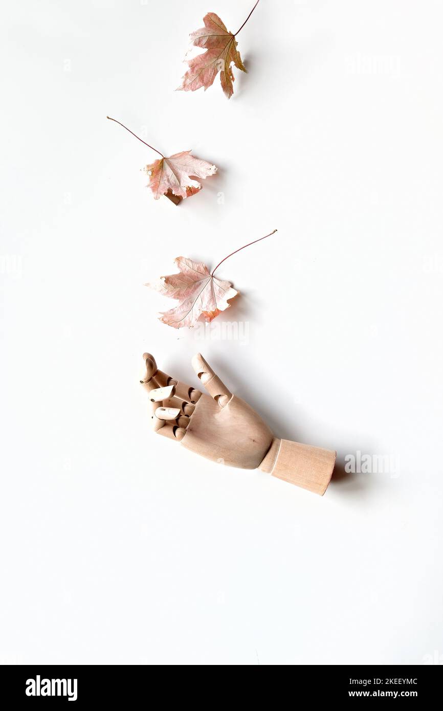 Autumn leaves falling to artist model wooden hand. Fall simple, minimal ...