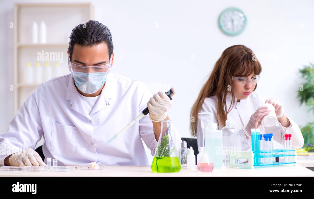 The two chemists working in the lab Stock Photo - Alamy