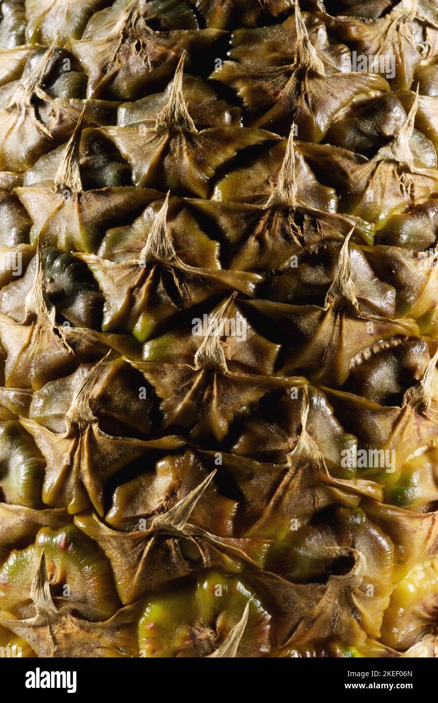 Body texture hi-res stock photography and images - Alamy