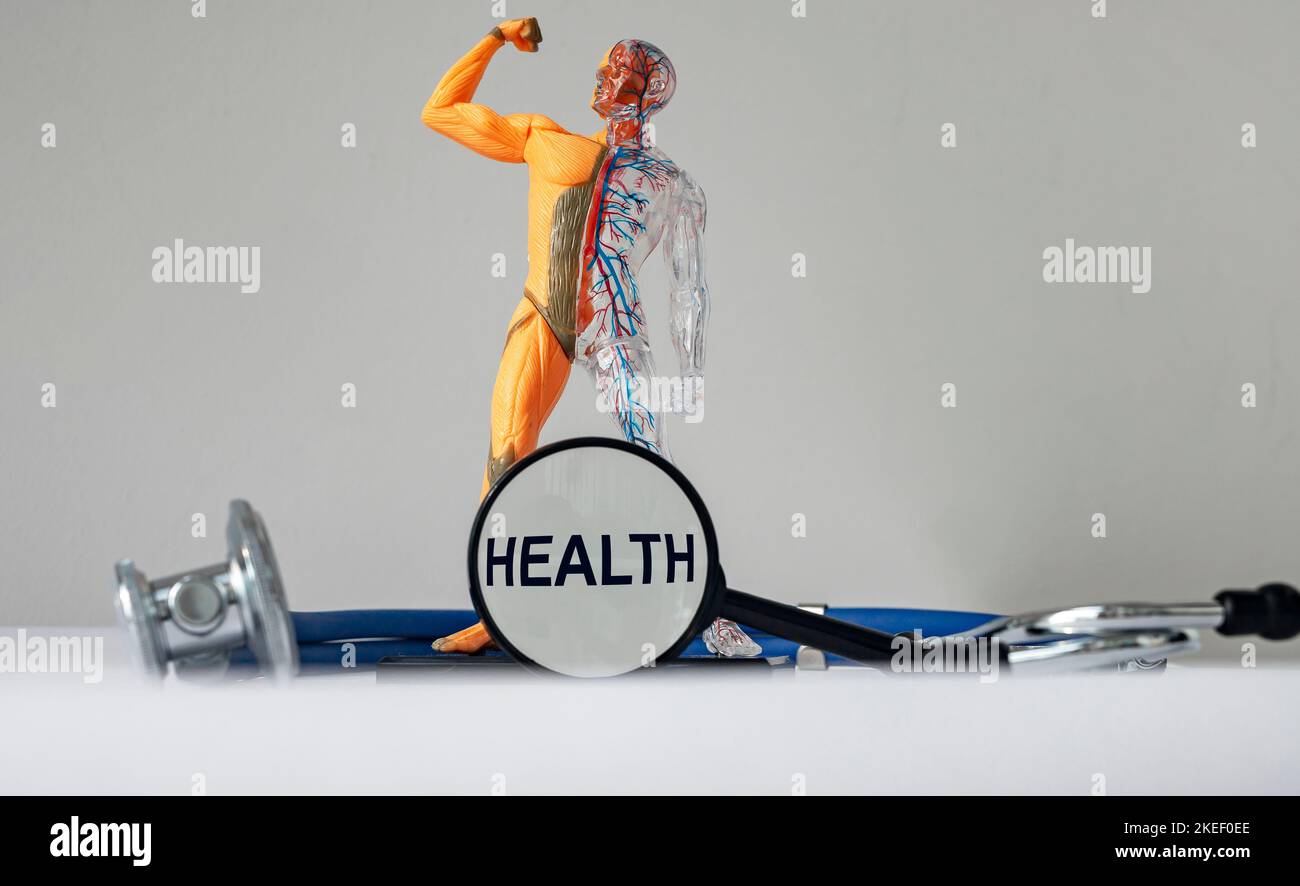 Health text on photo with healthy human body model Stock Photo - Alamy