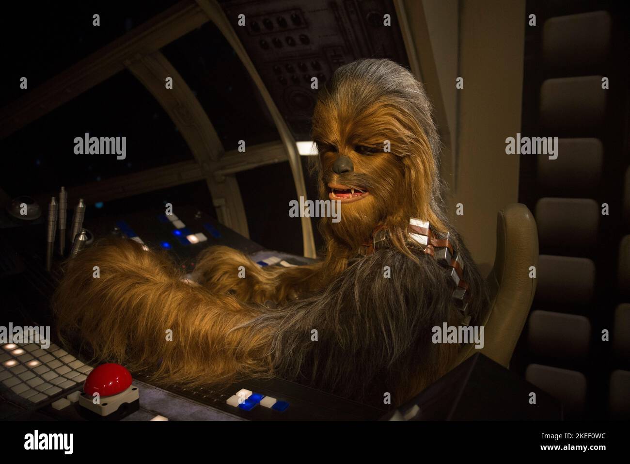 Chewbacca wax figure at Madame Tussaud's Stock Photo - Alamy