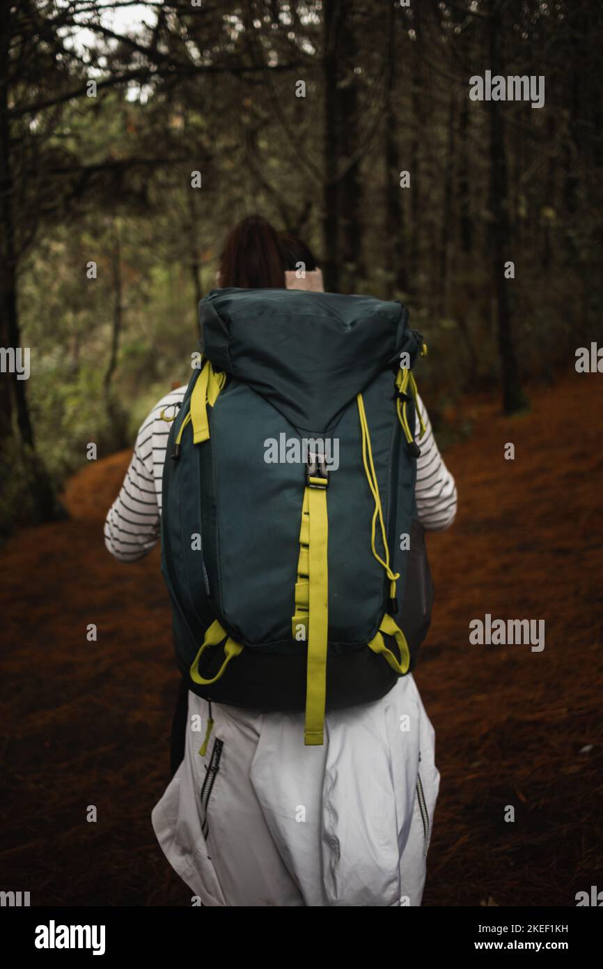 A back view of a young female hiker with a backpack walking in a forest ...