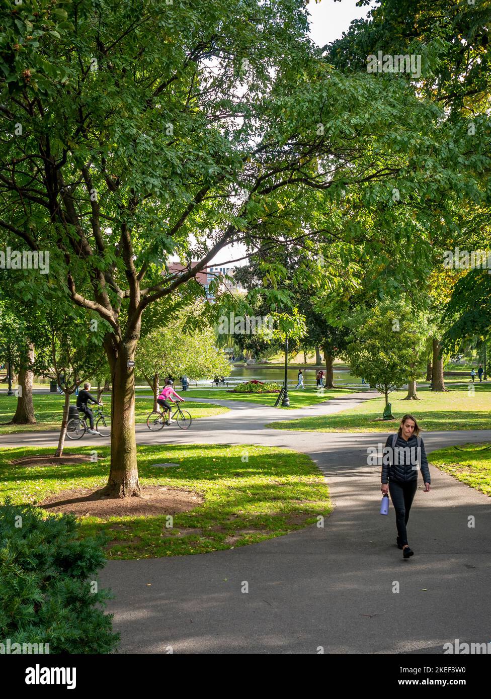 The Boston Public Garden in Massachusetts, USA with its gardens and ...