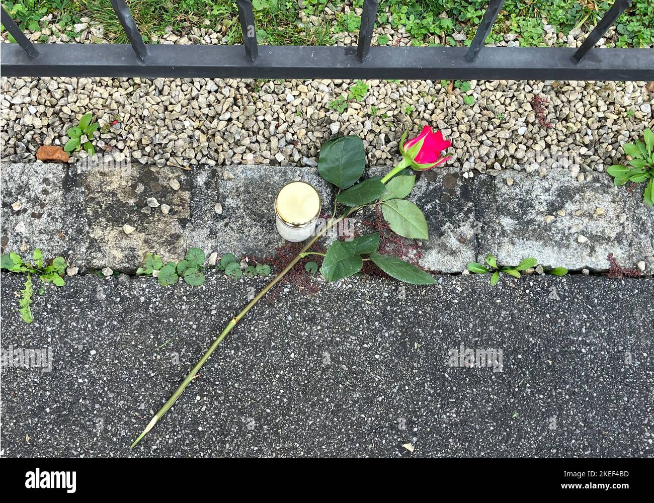12 November 2022, Weilheim: A rose lies next to a candle in front of a ...