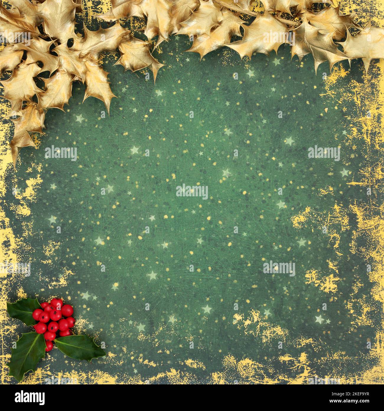 Christmas Winter and New Year decorative background with natural holly ...