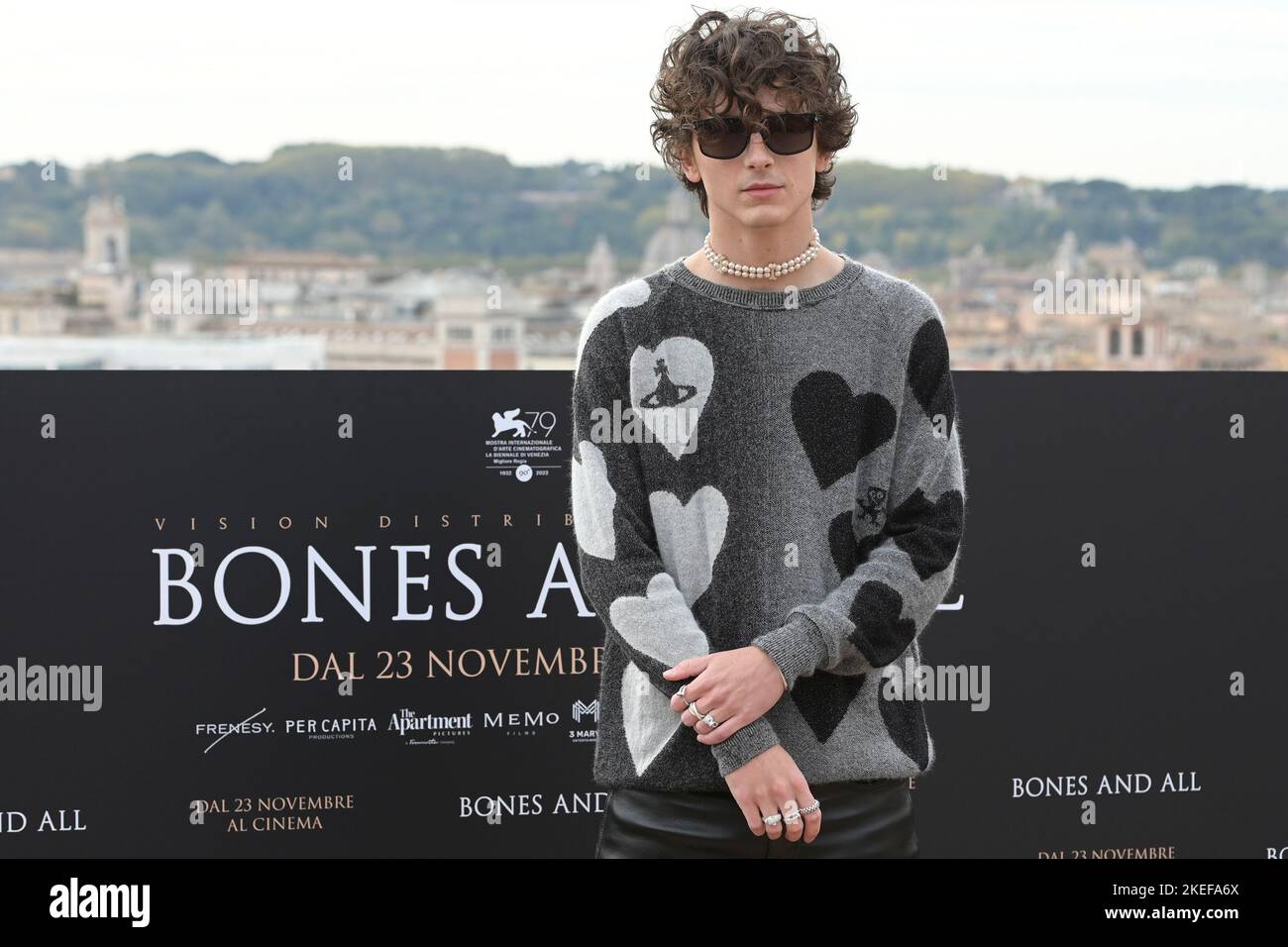 Rome, Italy. 12th Nov, 2022. Timothee Chalamet attends the photocall of the movie "Bones and all ...