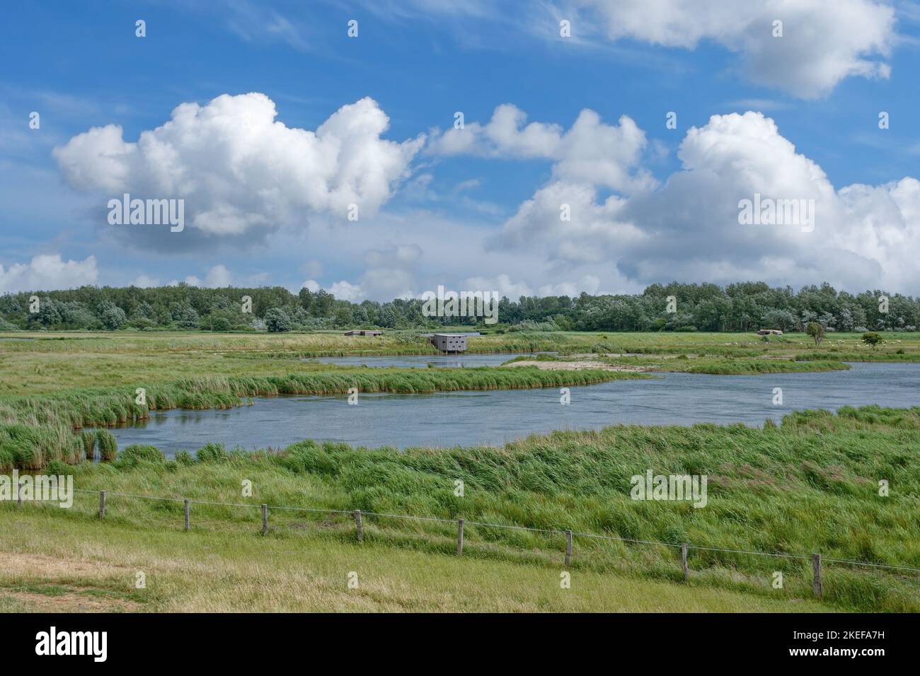 Katinger Watt Nature Reserve,Eiderstedt Peninsula,North Frisia,Germany ...
