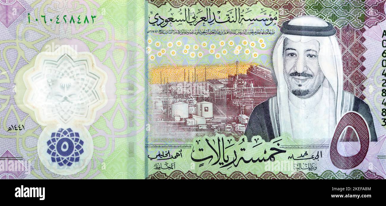 Large fragment of the new polymer 5 SAR five Saudi Arabia riyals cash ...