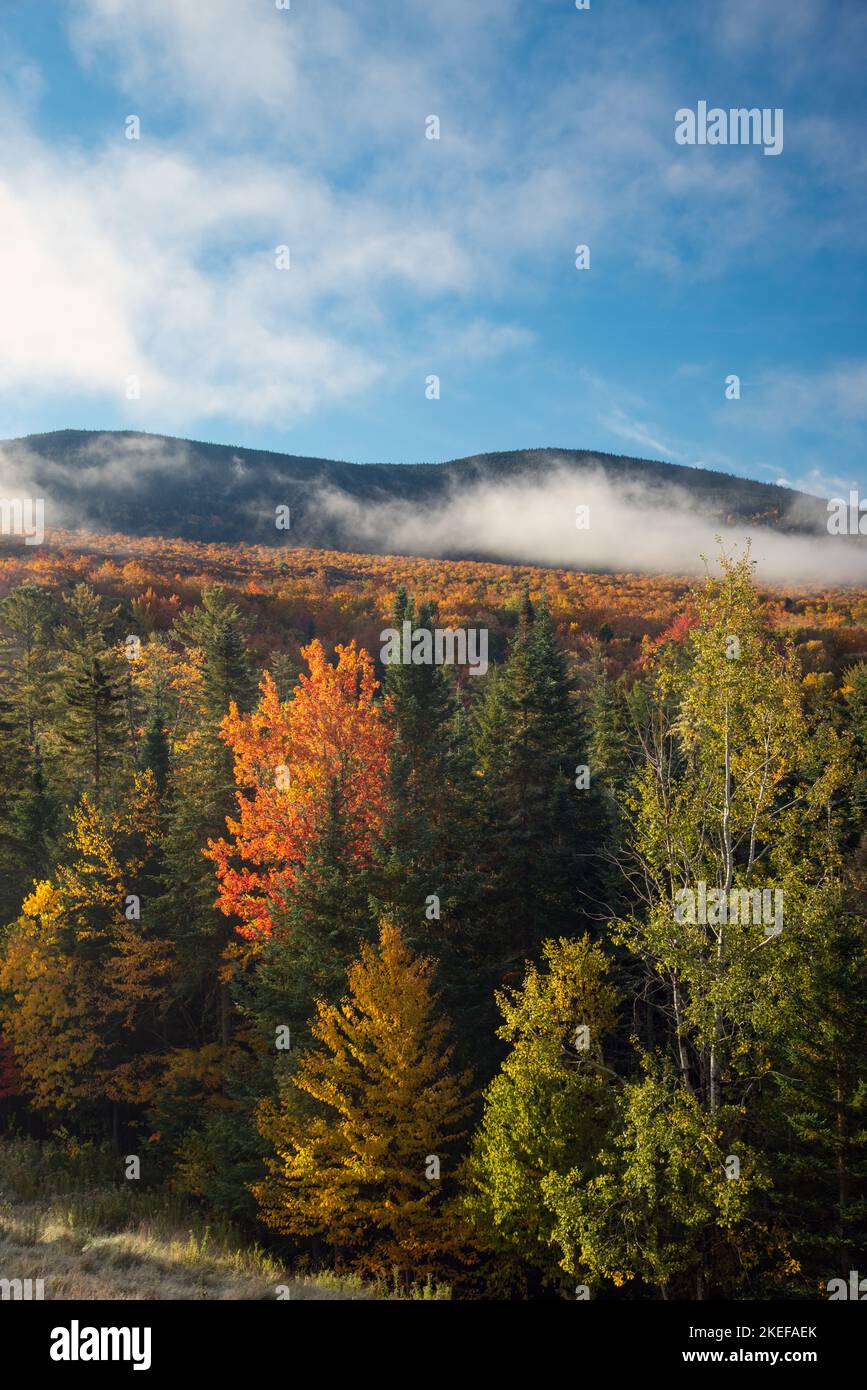 Aziscohos station recreation area western Maine Stock Photo - Alamy