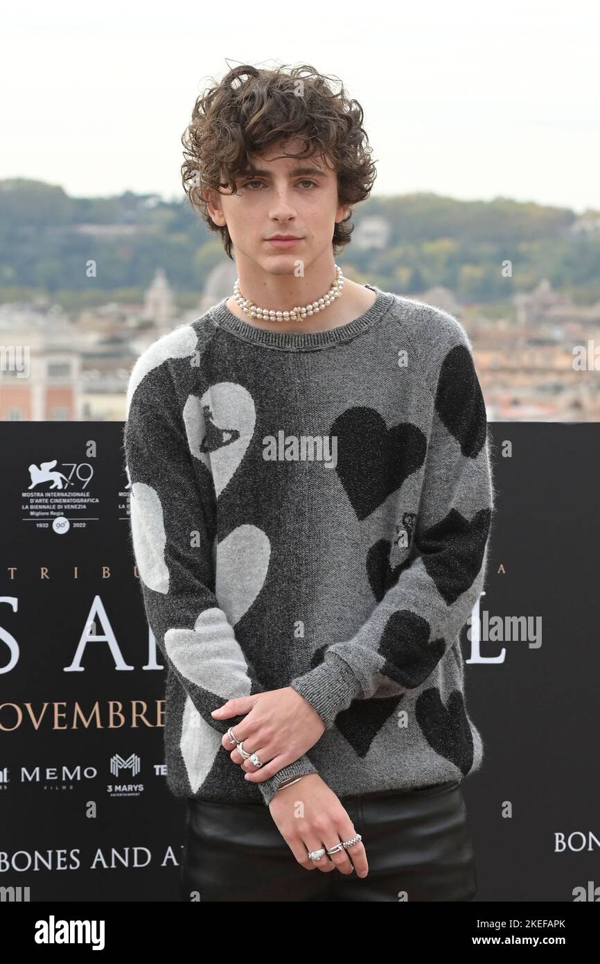 Timothee Chalamet attends the photocall of the movie "Bones and all" at the Hotel De La Ville ...