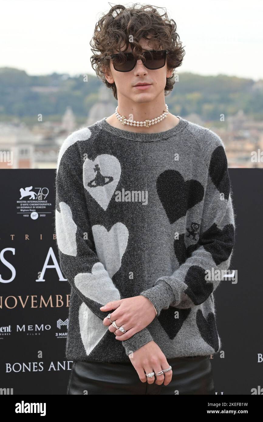 Rome, Italy. 12th Nov, 2022. Timothee Chalamet attends the photocall of ...