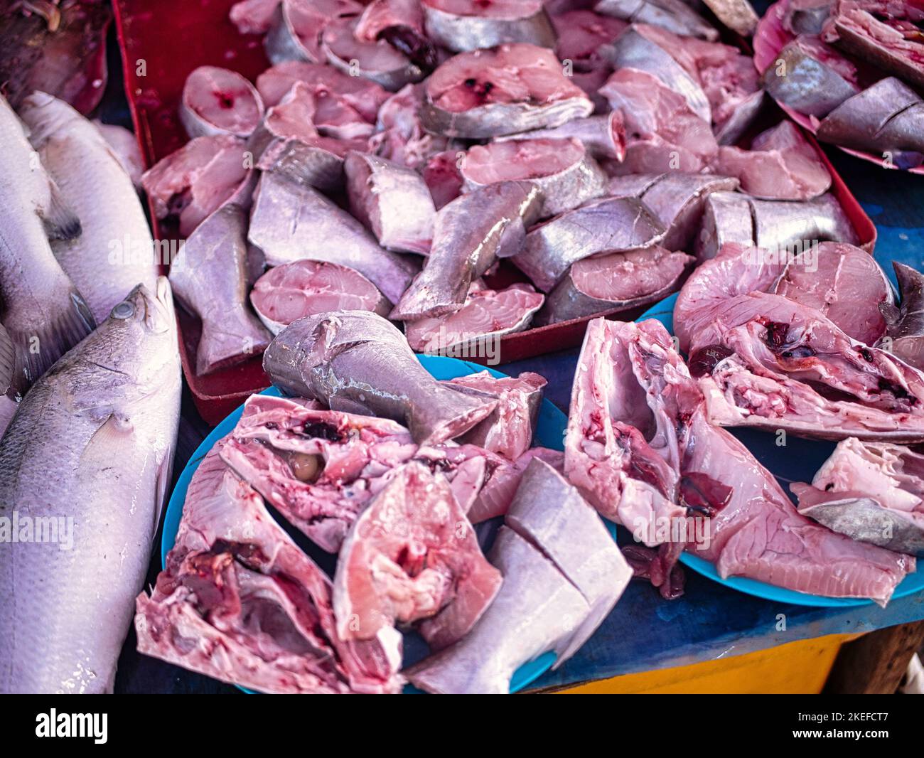 Bass fishing cut hi-res stock photography and images - Alamy