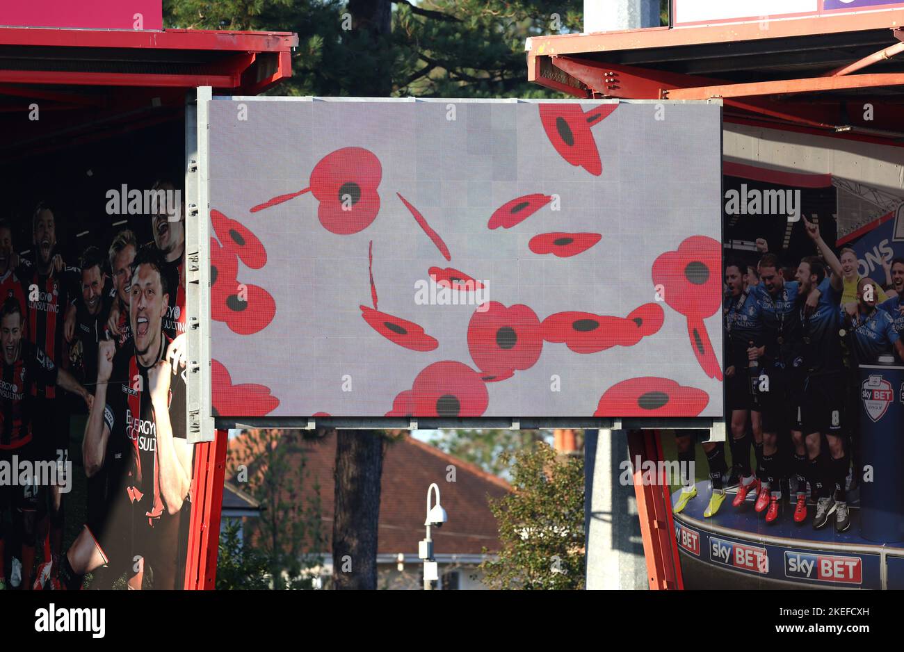 Animated poppies on the big screen to mark Remembrance Day, ahead of ...