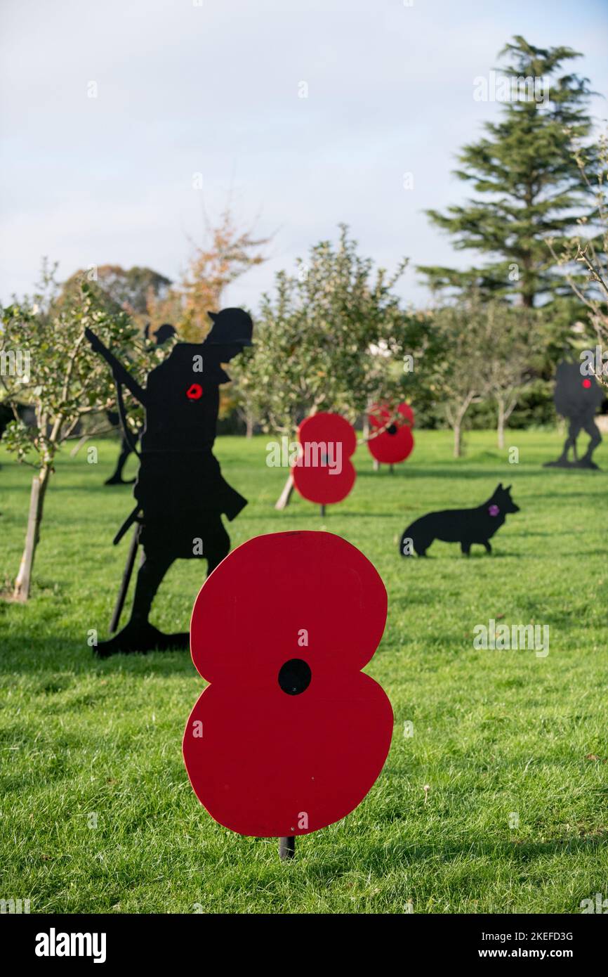 Market Warsop, UK. 12th Nov, 2022. Homemade red poppies and life size ...
