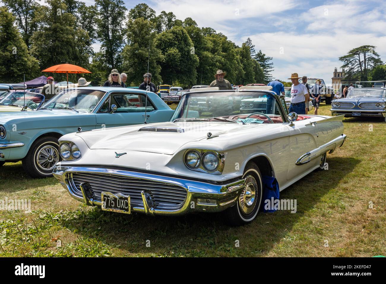 1959 Ford Thunderbird convertible ‘775 UXC’ on display at the American ...