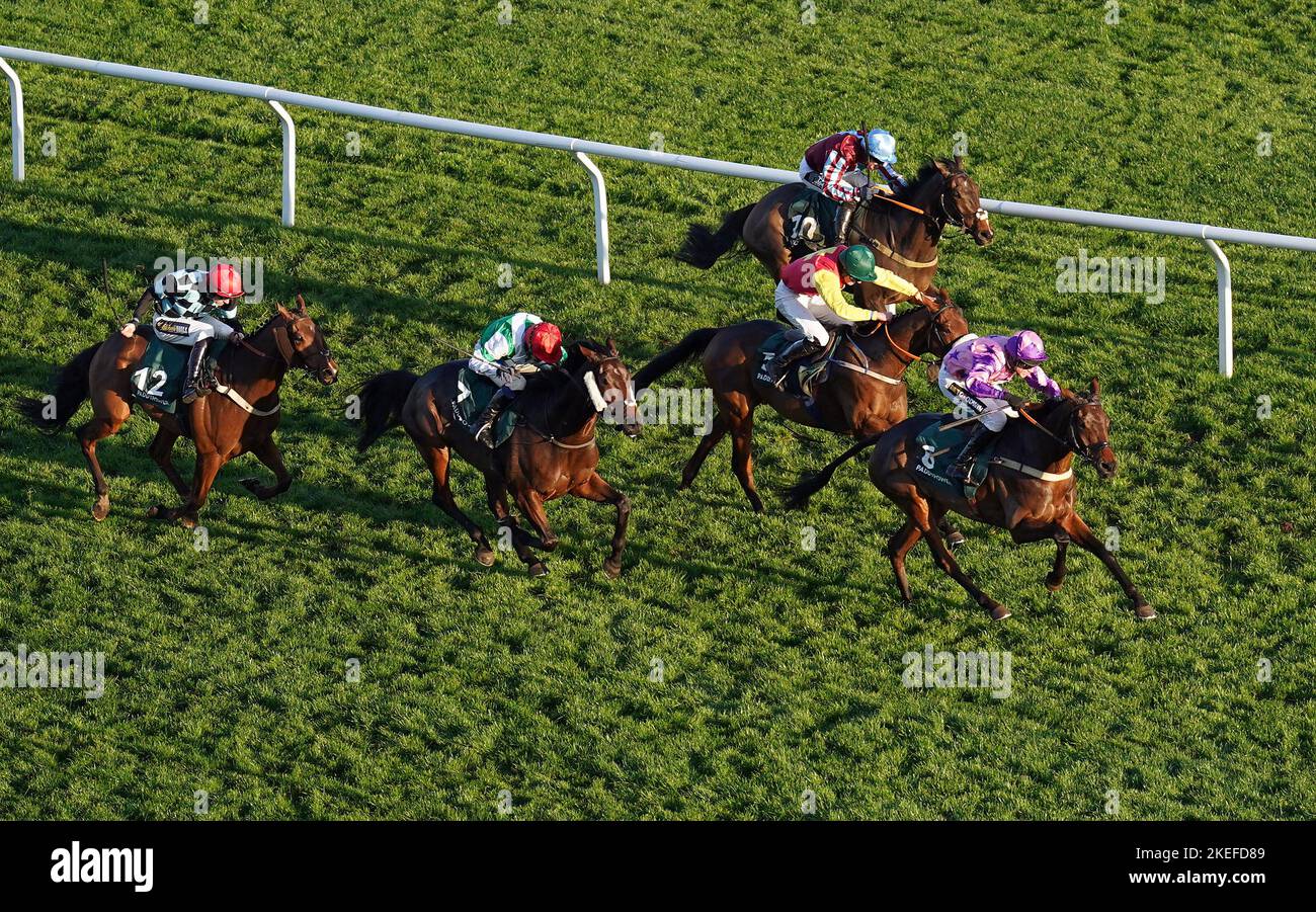 Annual invictus horse hi-res stock photography and images - Alamy