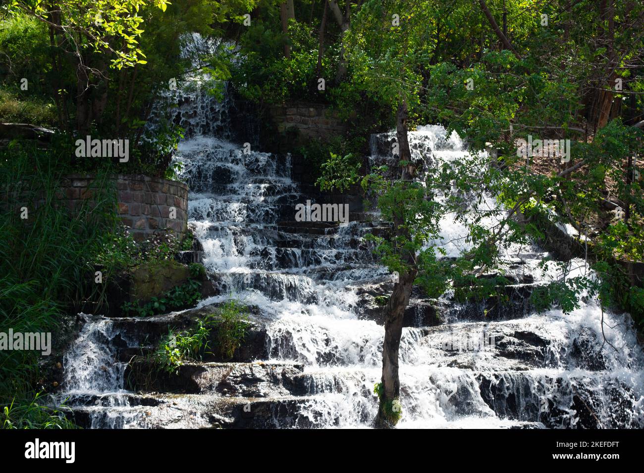 Beautiful waterfall in rain forest Stock Photo - Alamy