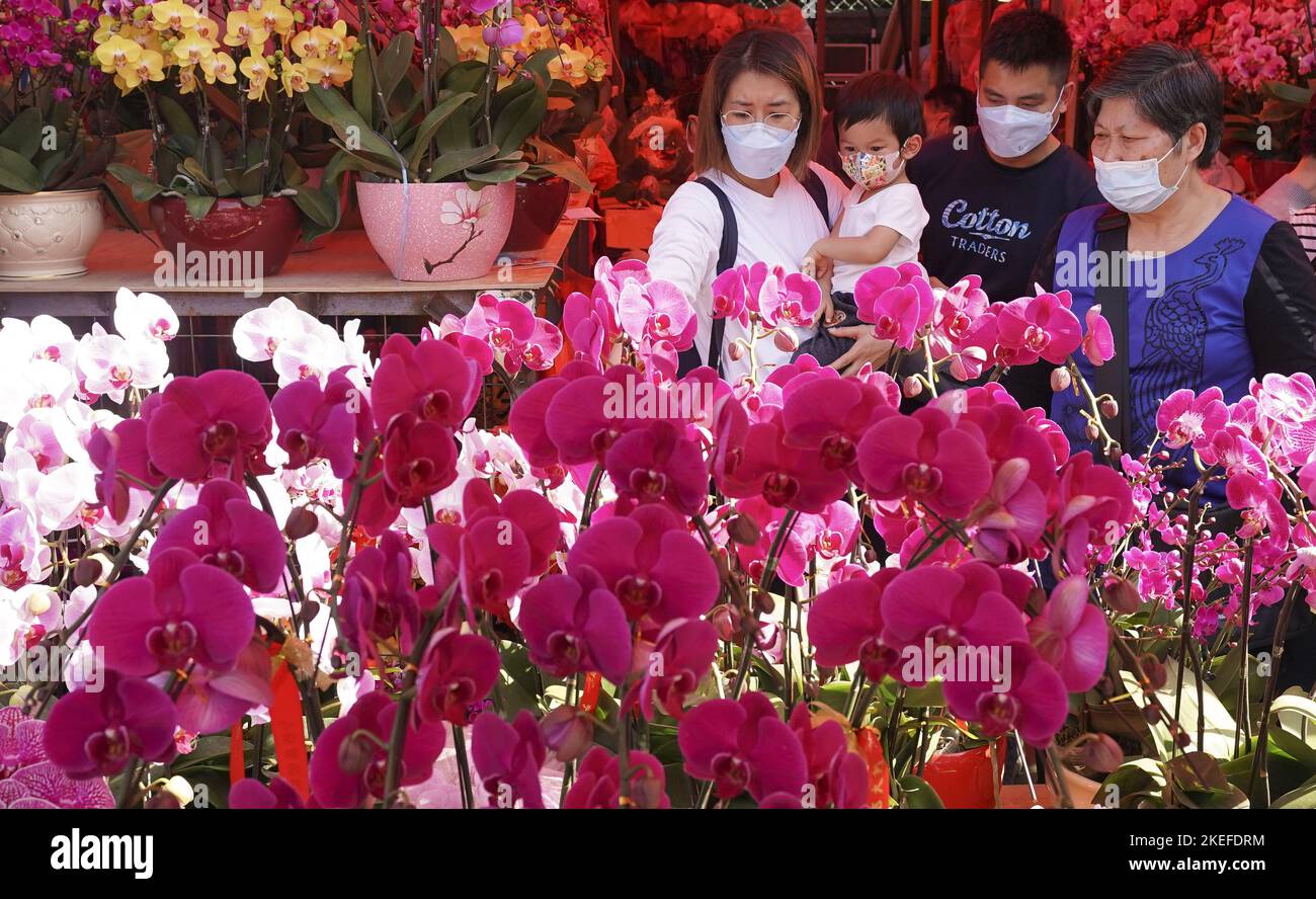 First day of Lunar New Year Fair open to the public at Victoria Park in ...