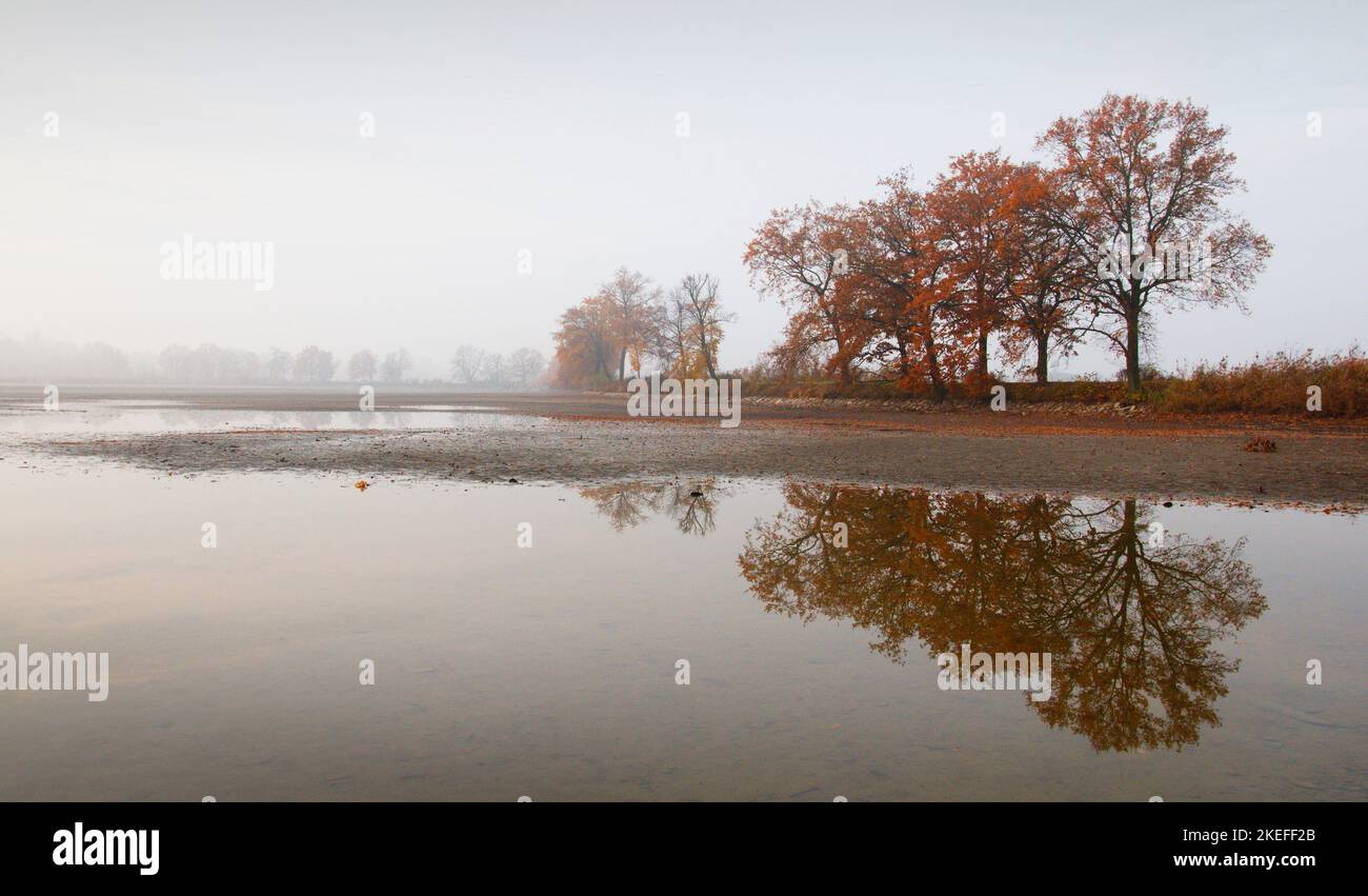 Autumn in the Odra river basin in Moravia in the Czech Republic Stock ...