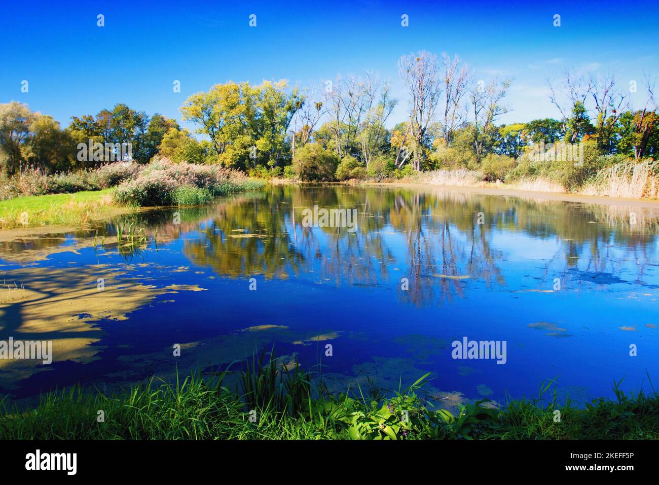 Autumn in the Odra river basin in Moravia in the Czech Republic Stock ...