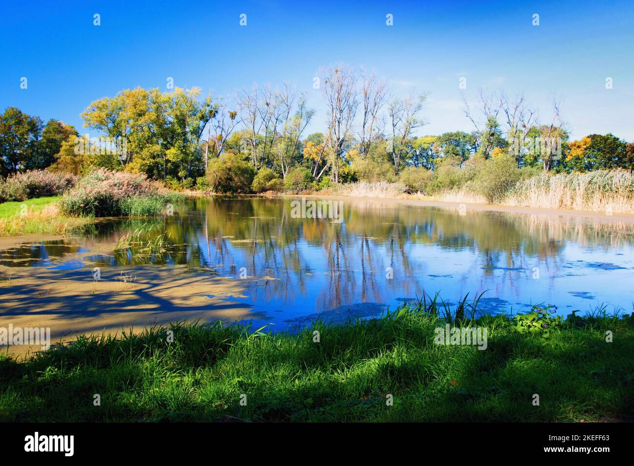 Autumn in the Odra river basin in Moravia in the Czech Republic Stock ...
