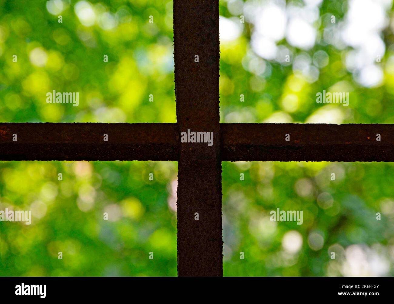 Picture behind a metal bars hi-res stock photography and images - Alamy
