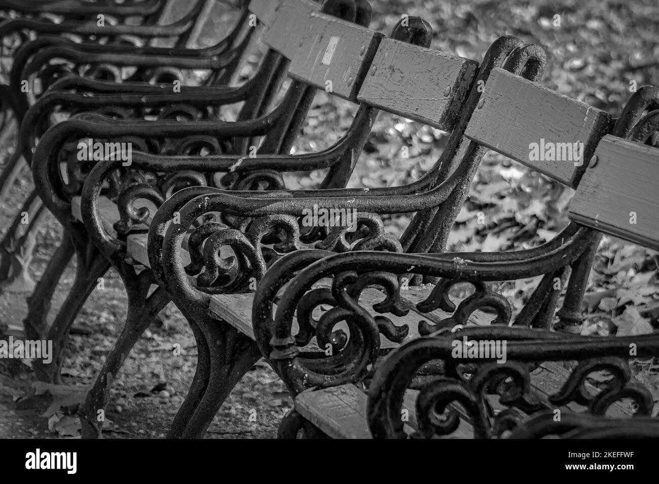 Park wooden benches on Black and White Stock Photos & Images - Alamy