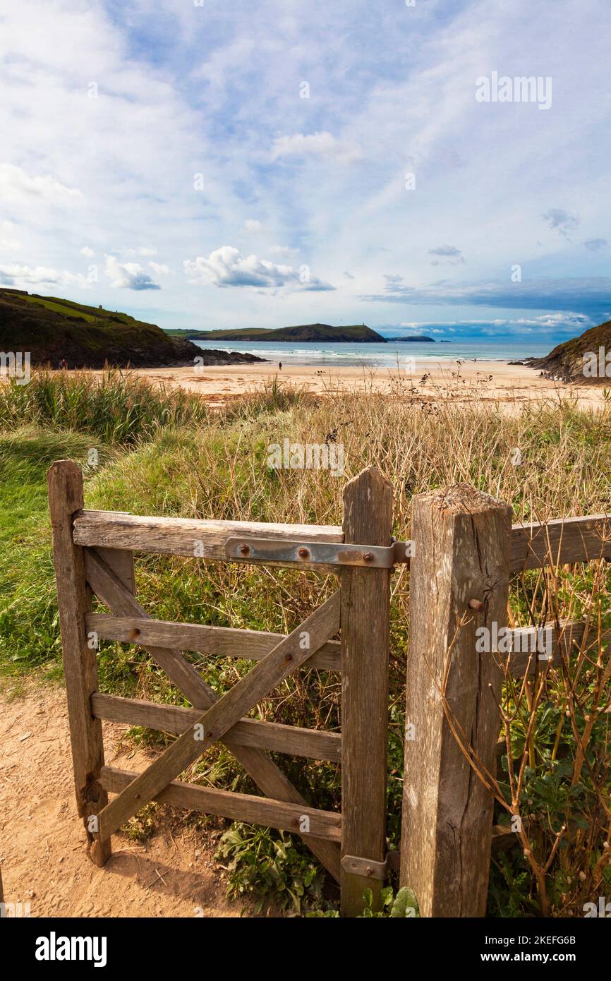 Baby Bay, New Polzeath, Cornwall, England, U.K Stock Photo - Alamy