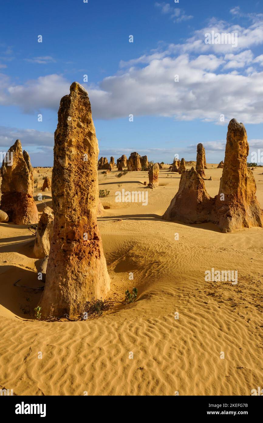 A vertical shot of stone formations in the Pinnacle Desert in Western ...