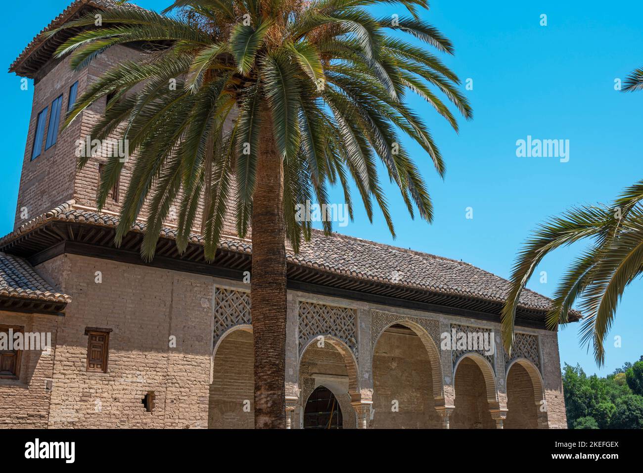 A beautiful shot of the historic Alhambra palace and palm trees in ...