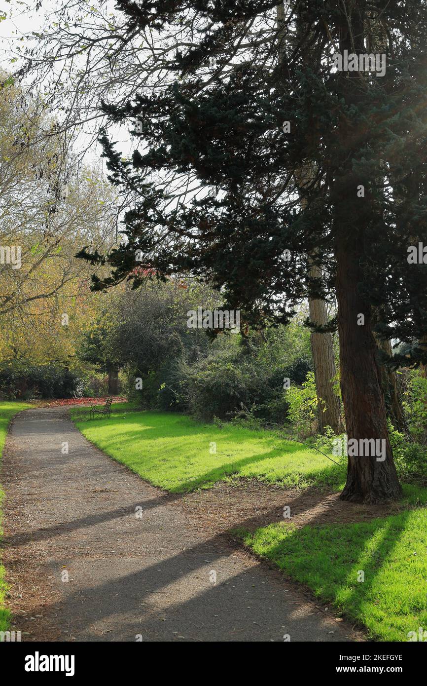 Shadows from trees fall across the foot path the runs through wooded ...