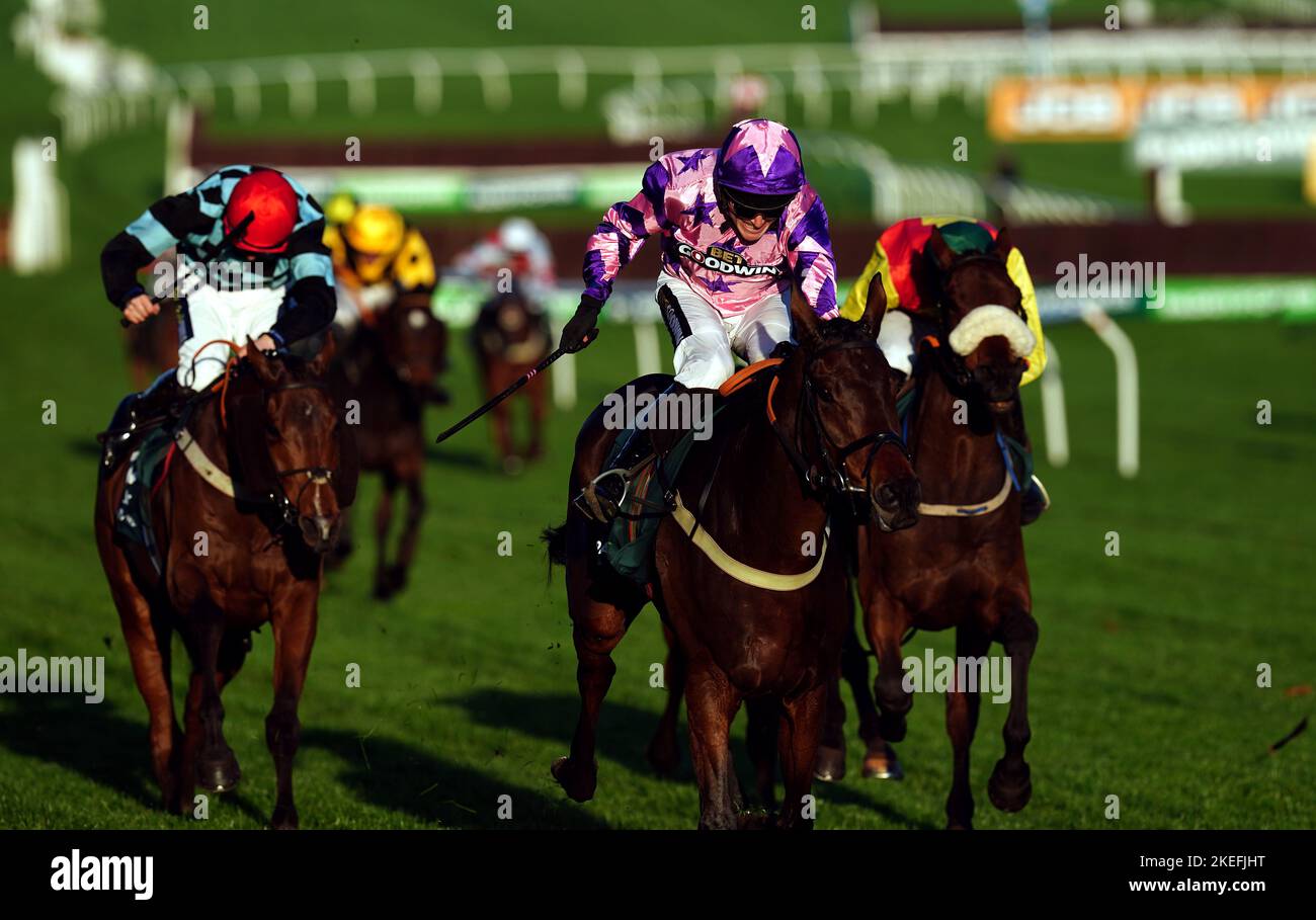 Annual invictus horse hi-res stock photography and images - Alamy