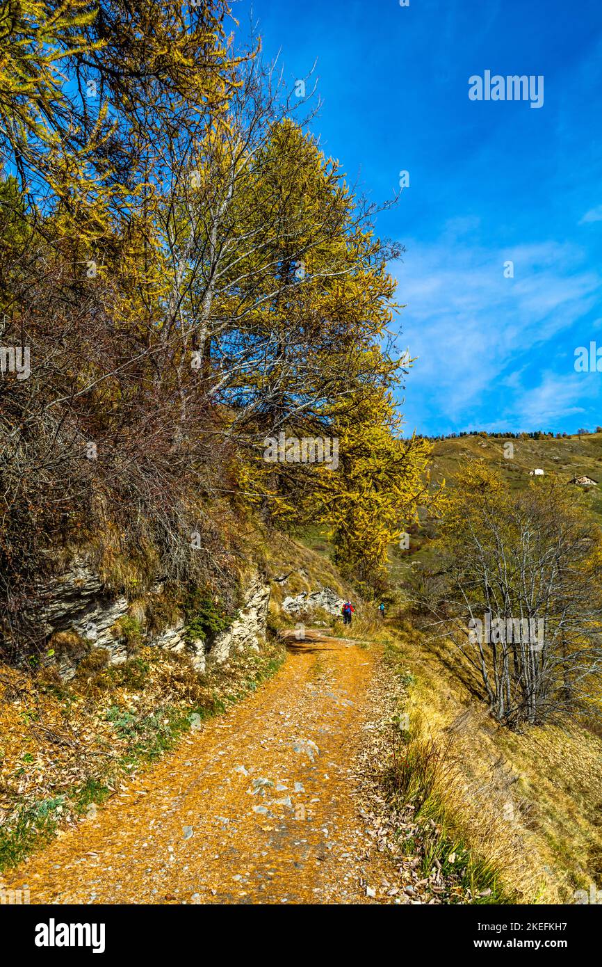 The treasures of the Varaita Valley: the small village of Bellino ...