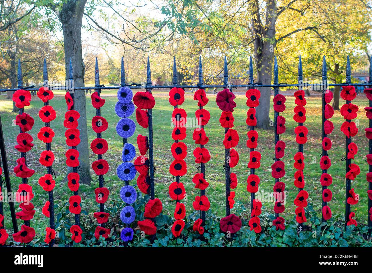 Marlow, Buckinghamshire, UK. 12th November, 2022. The Marlow Poppy ...