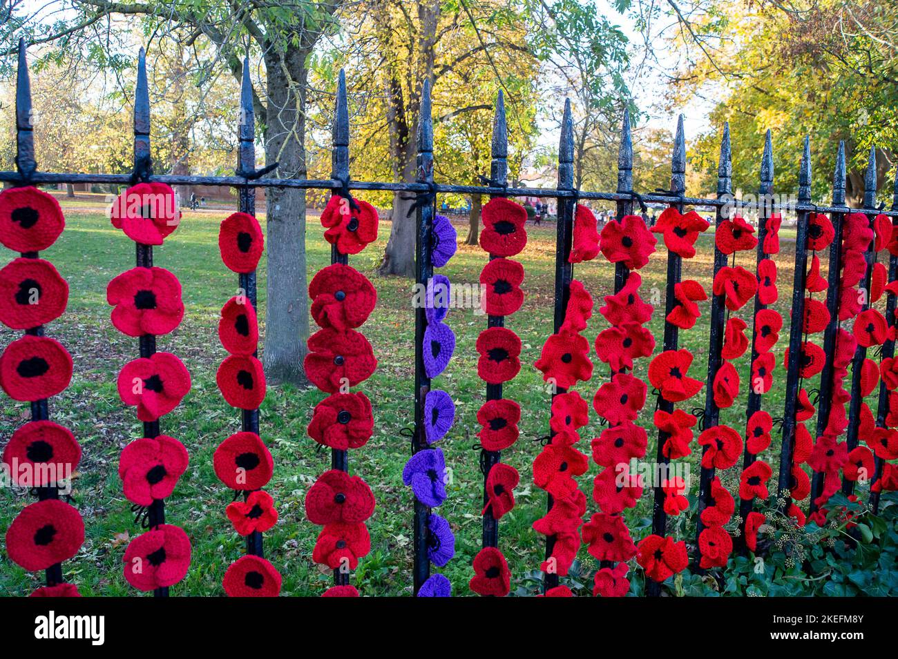 Marlow, Buckinghamshire, UK. 12th November, 2022. The Marlow Poppy ...
