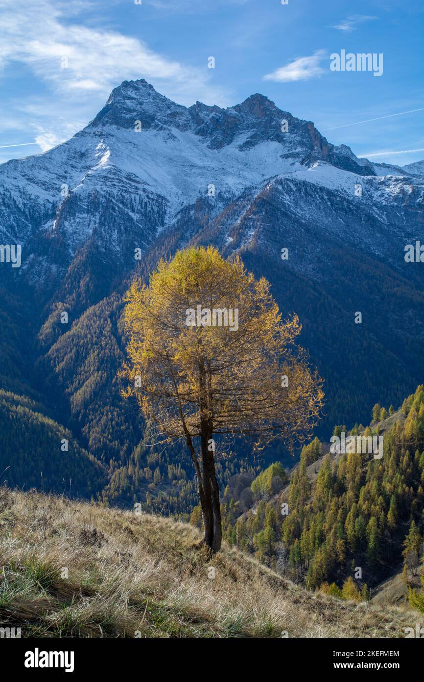 The treasures of the Varaita Valley: the small village of Bellino ...