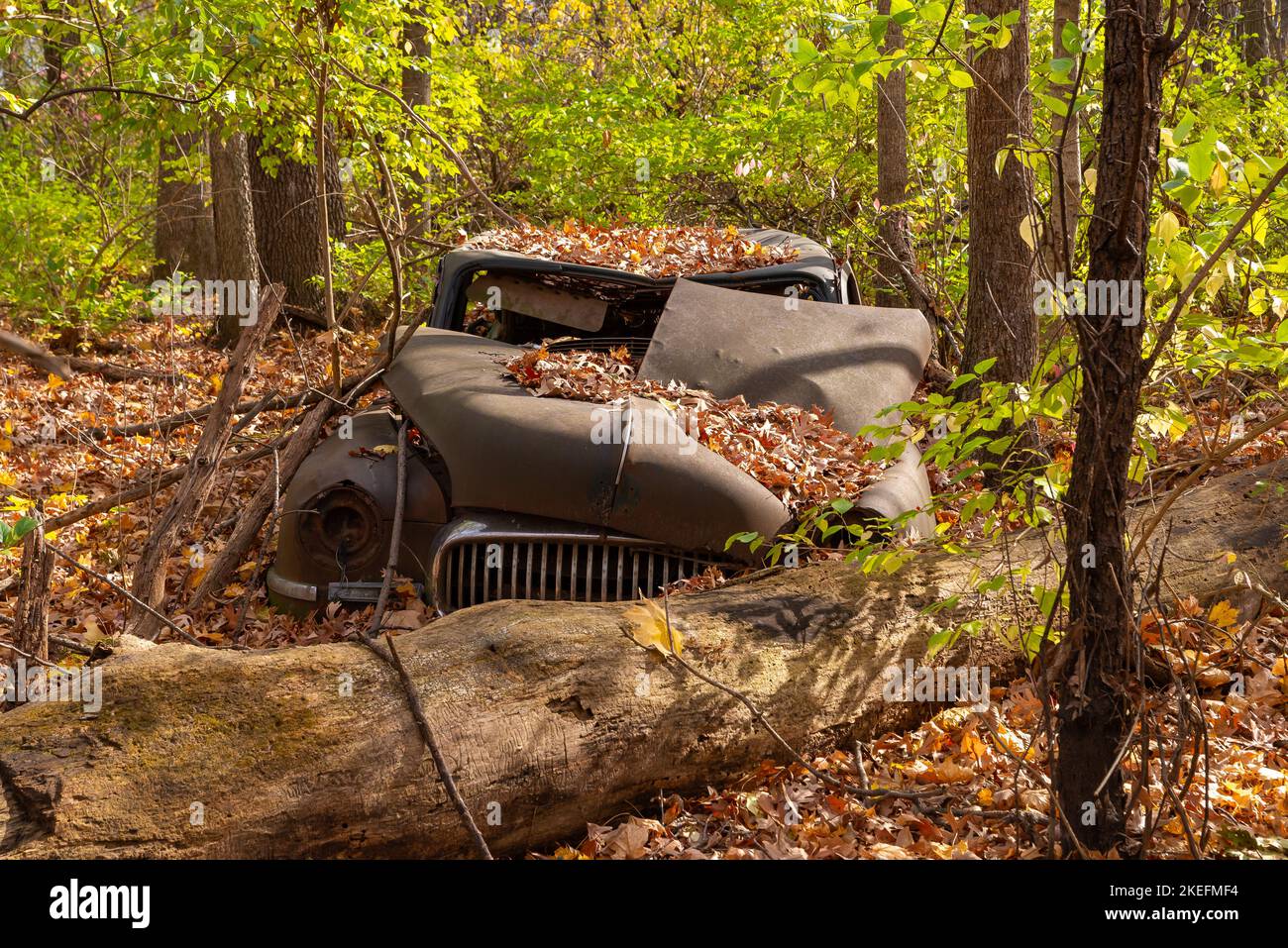 Old rusted car in the woods in LaSalle County, Illinois, USA Stock Photo - Alamy