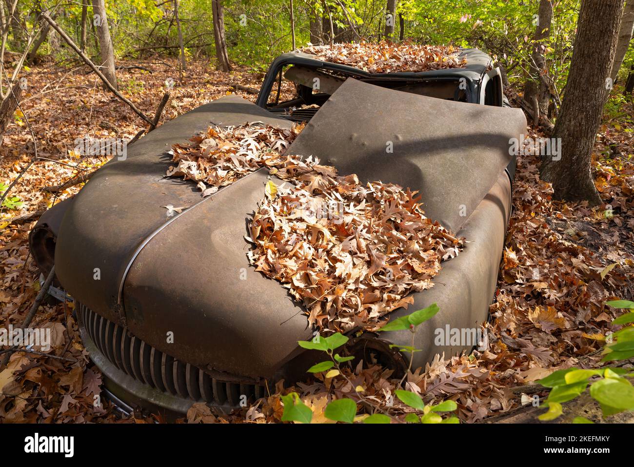 Old rusted car in the woods in LaSalle County, Illinois, USA Stock Photo - Alamy