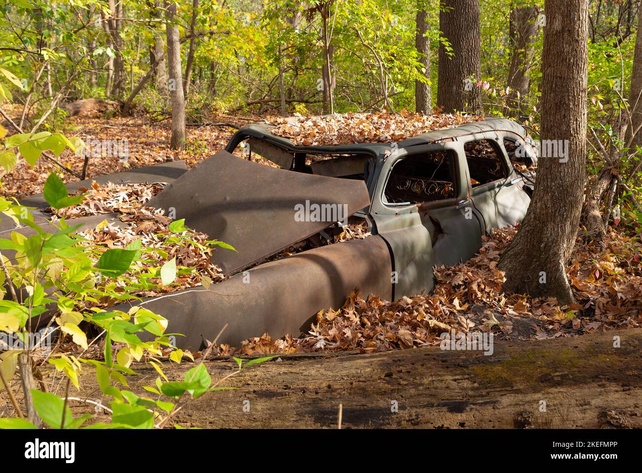 Old rusted car in the woods in LaSalle County, Illinois, USA Stock Photo - Alamy