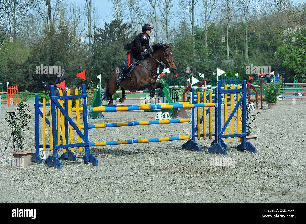 At the equestrian center "Le Siepi" in Milano Marittima, Italy. A competitor engaged in show ...