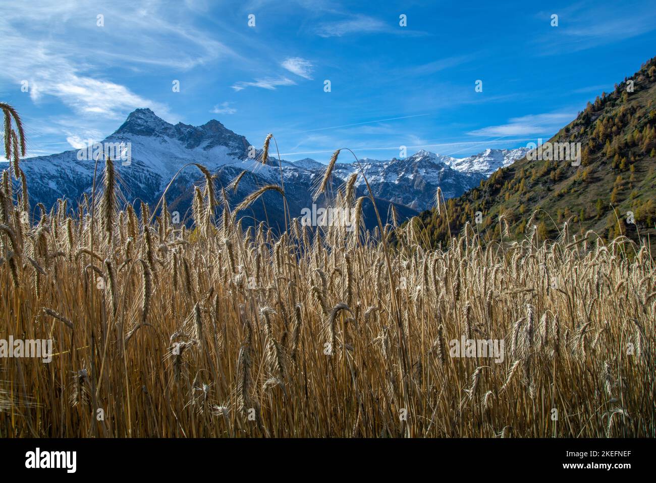 The treasures of the Varaita Valley: the small village of Bellino ...