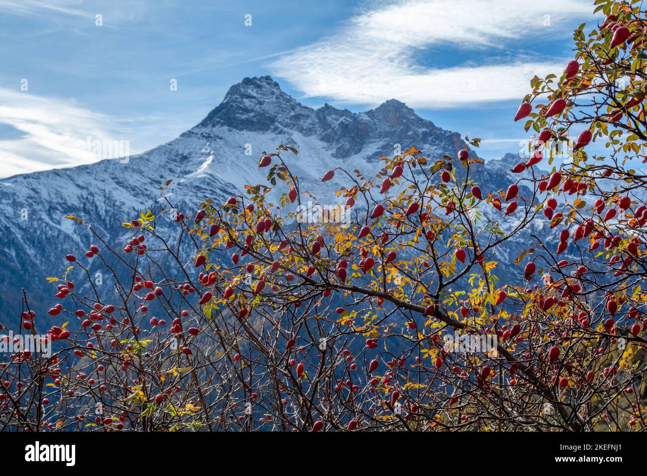 The treasures of the Varaita Valley: the small village of Bellino ...