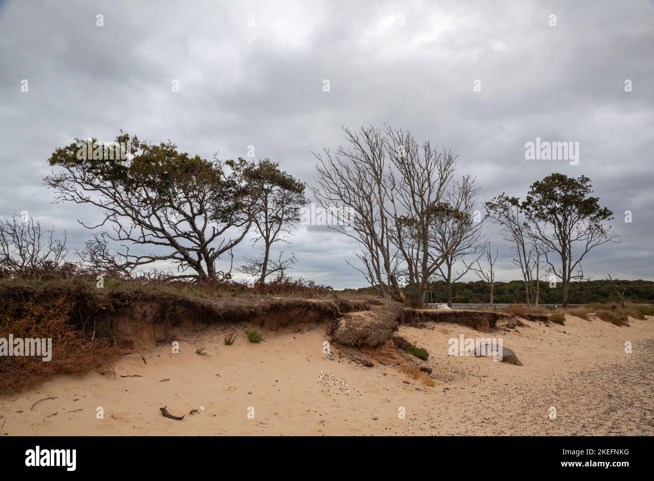 Coastal erosion at Benacre, Suffolk, England, United Kingdom Stock ...