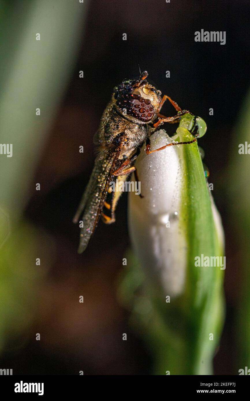 Coloured stripe detail hi-res stock photography and images - Alamy